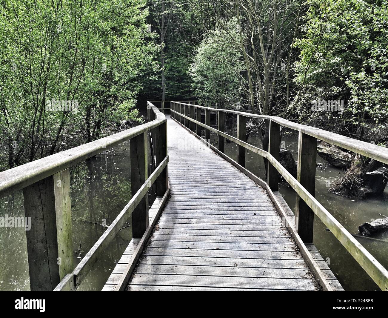 Coldfall Wood in London, England Stock Photo - Alamy