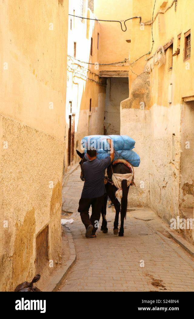 Donkey work hi-res stock photography and images - Alamy