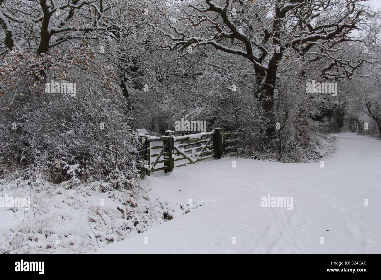 Swineshead hi-res stock photography and images - Alamy