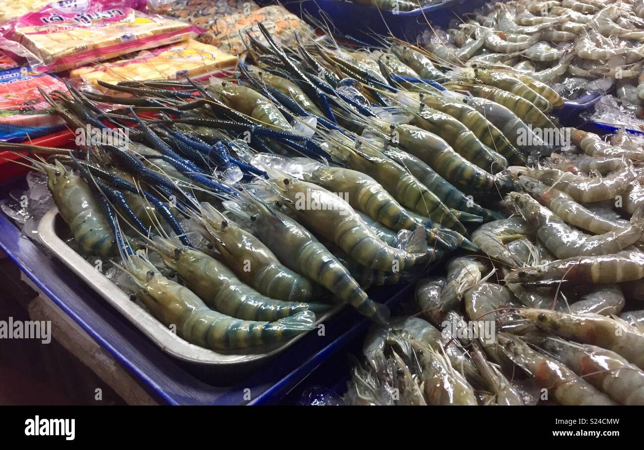 Raw shellfish in market in Thailand Stock Photo - Alamy