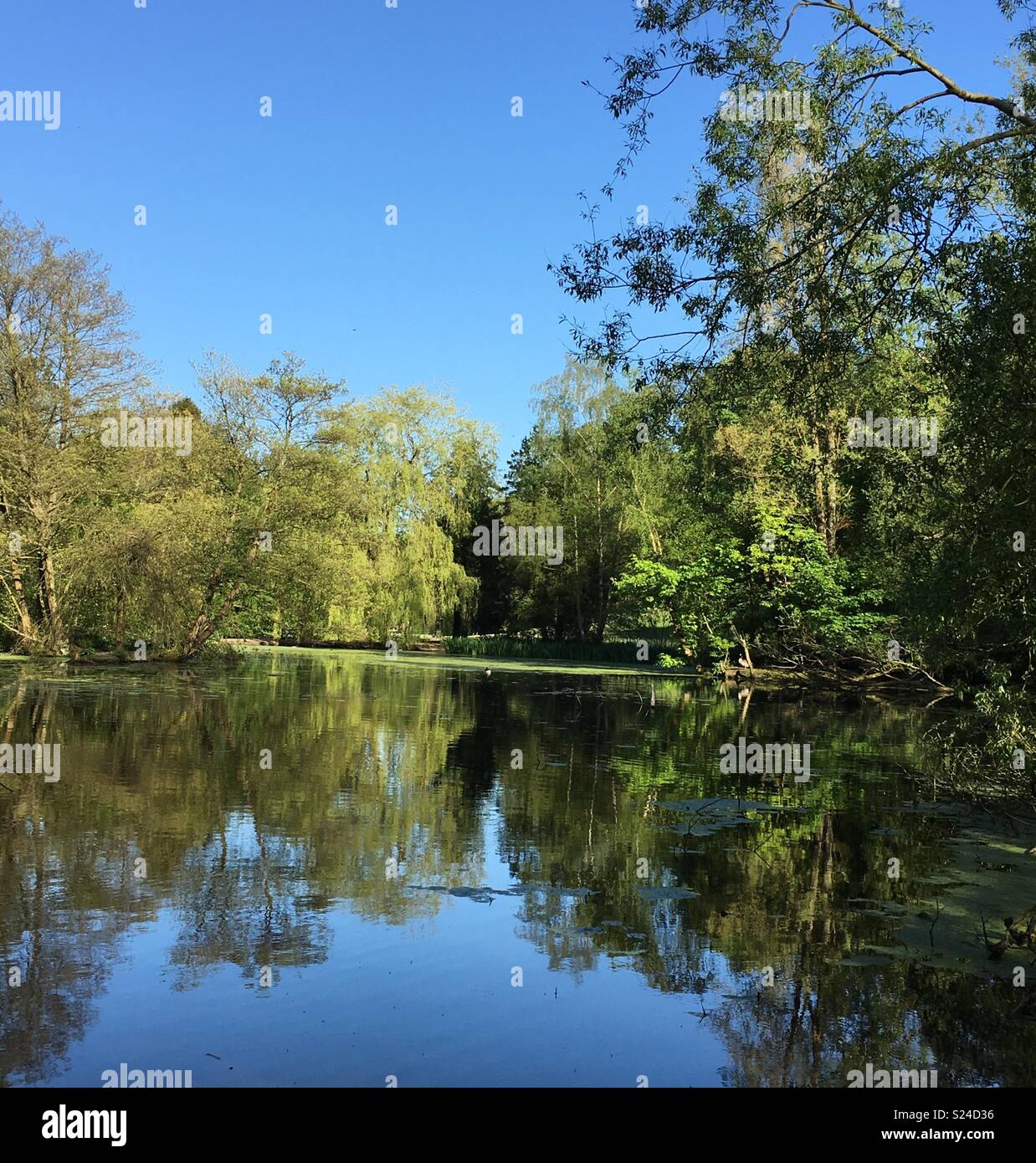 Bramhall hi-res stock photography and images - Alamy