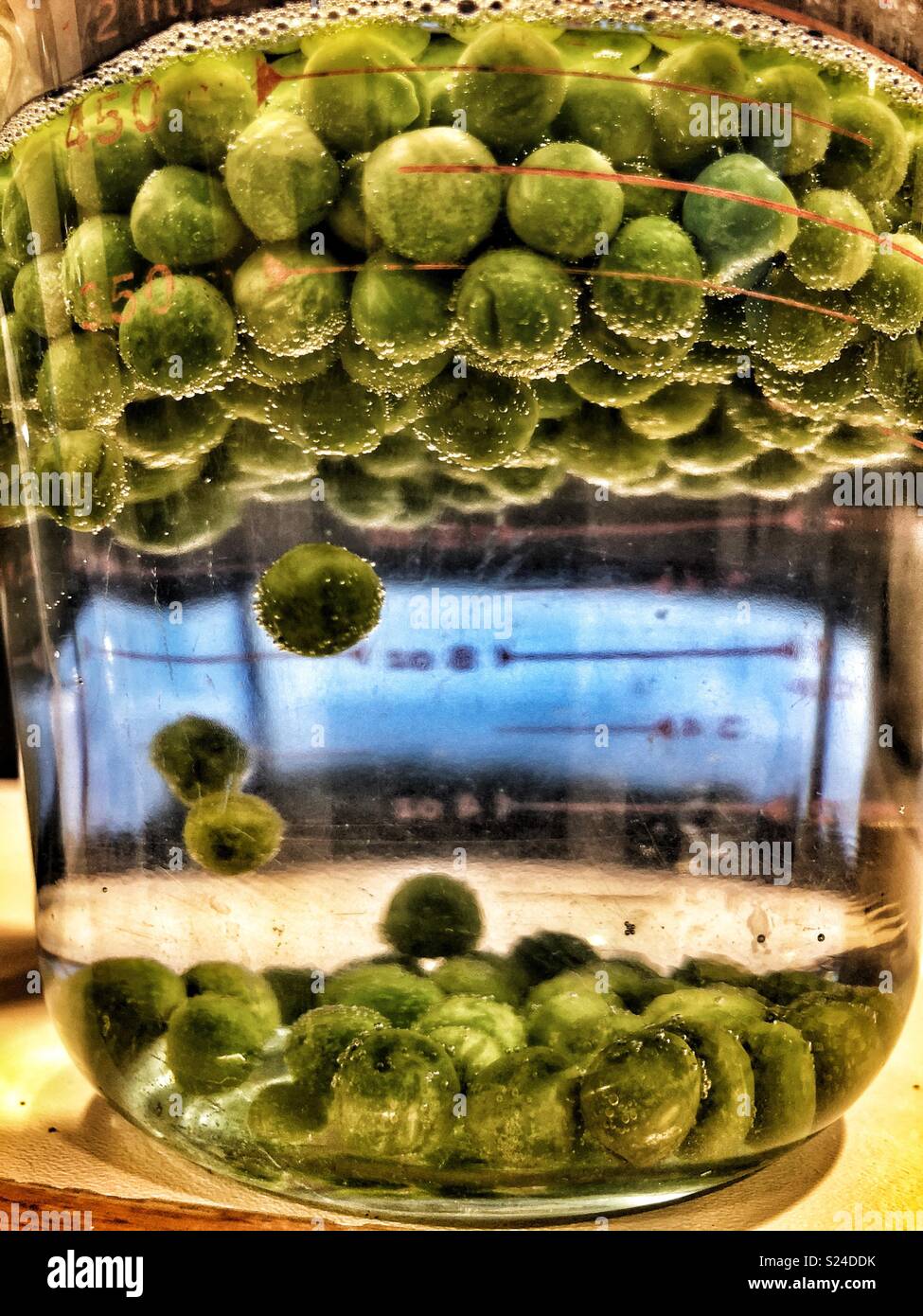 Floating pea hi-res stock photography and images - Alamy