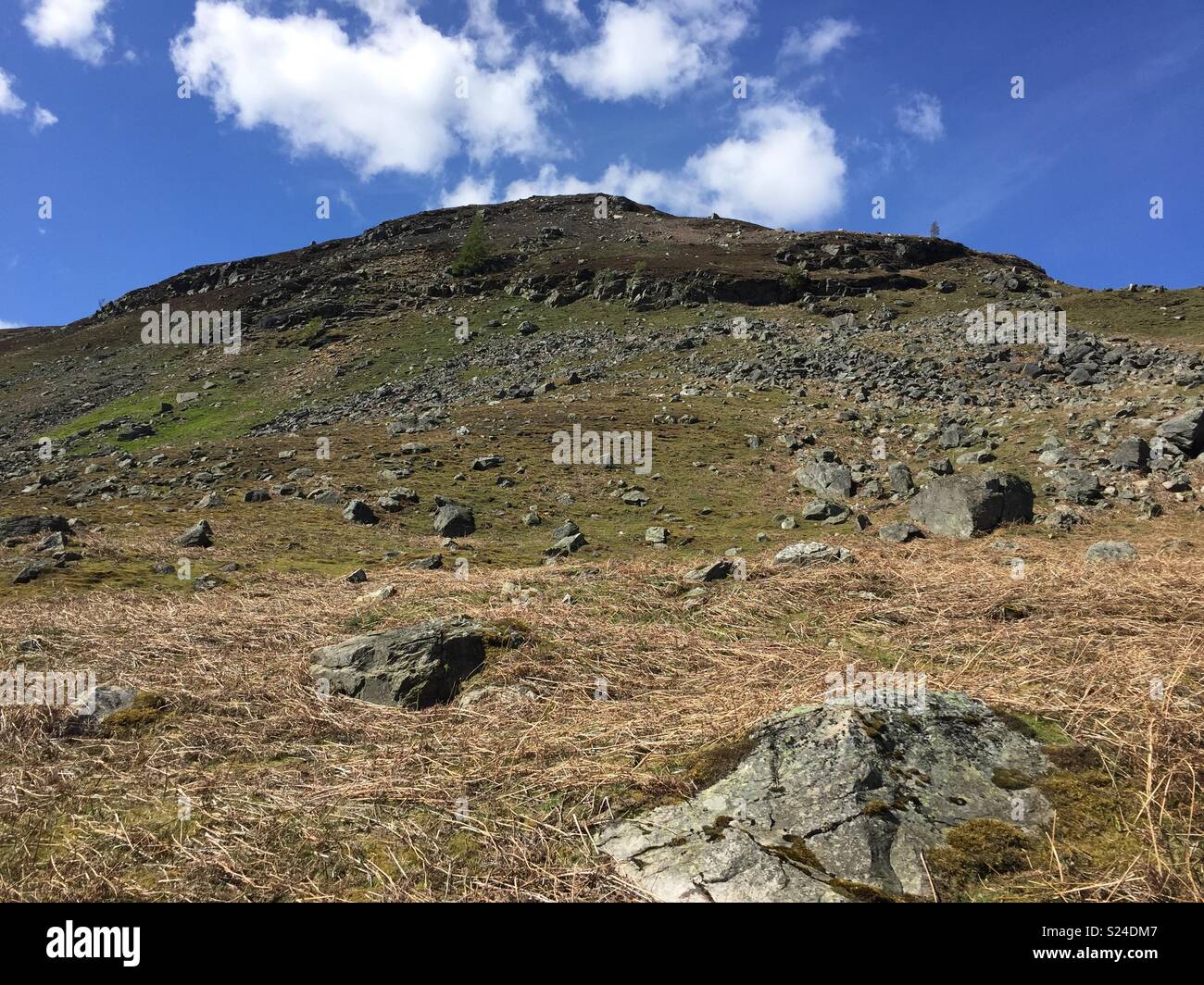Loch lee scotland hi-res stock photography and images - Alamy
