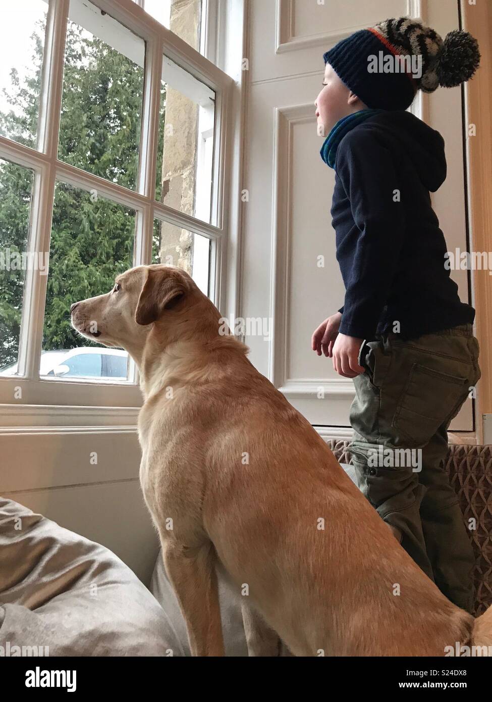 Waiting by the window hi-res stock photography and images - Alamy