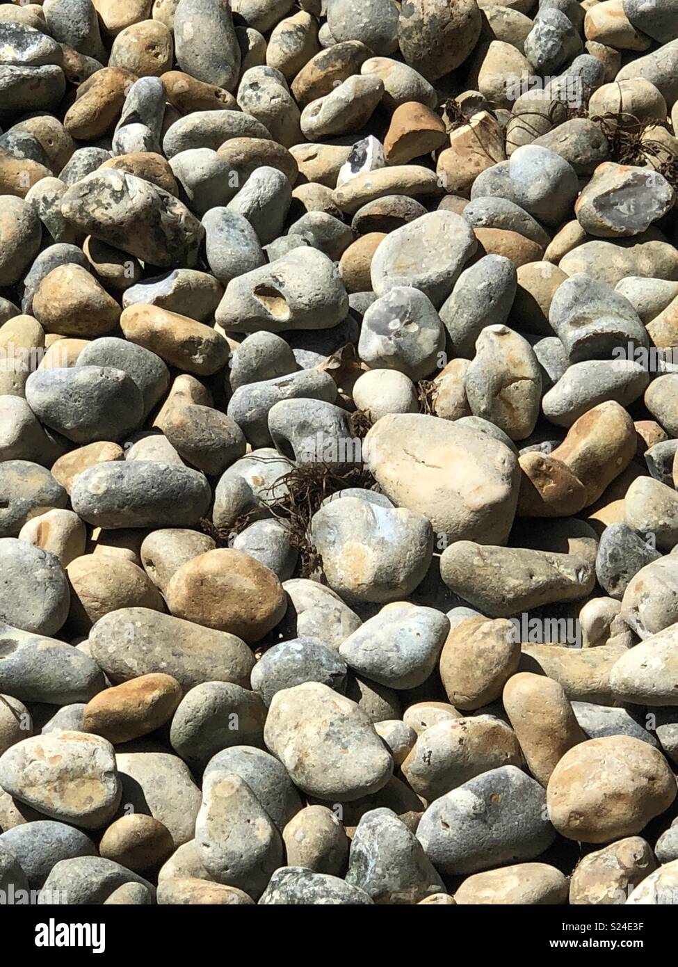 Pebbles in the sun Stock Photo - Alamy