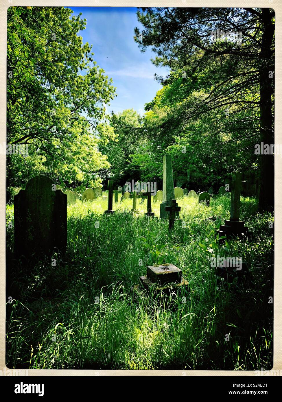 Quiet graveyard hi-res stock photography and images - Alamy