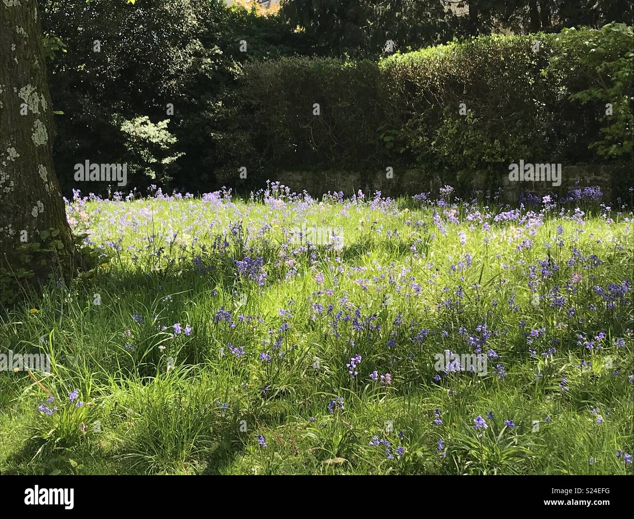 Sun shadow hi-res stock photography and images - Alamy