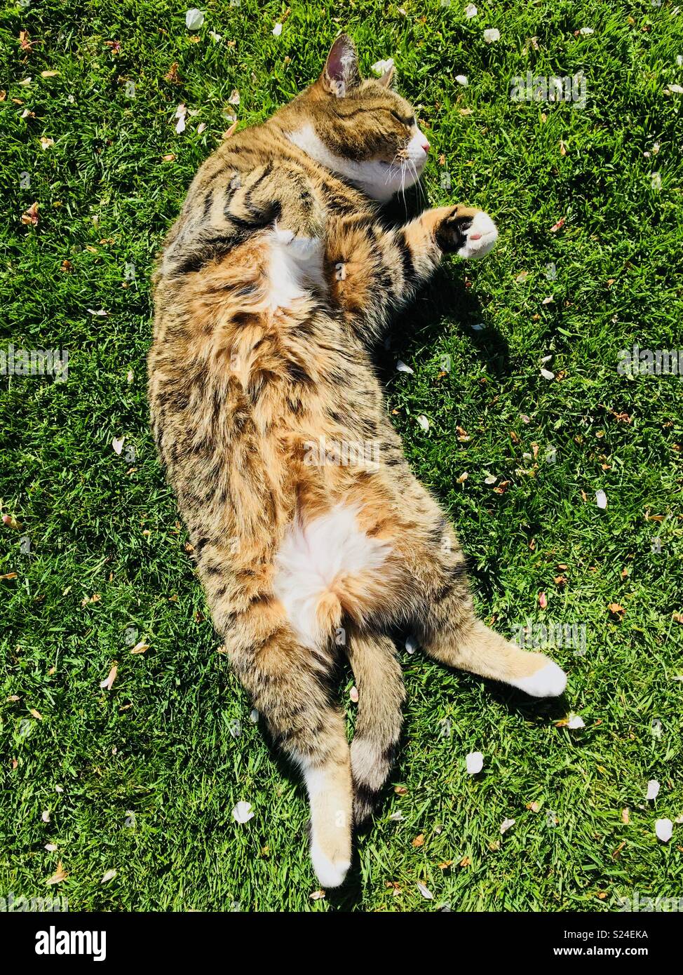 Summer stretch hi-res stock photography and images - Alamy