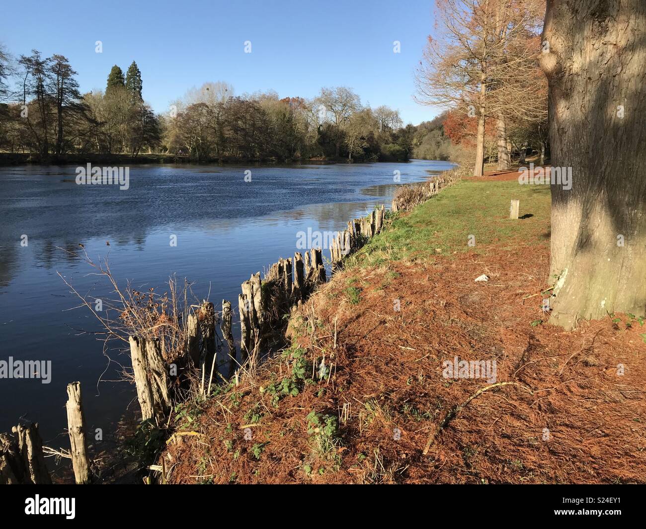 Autumn river bank Stock Photo - Alamy