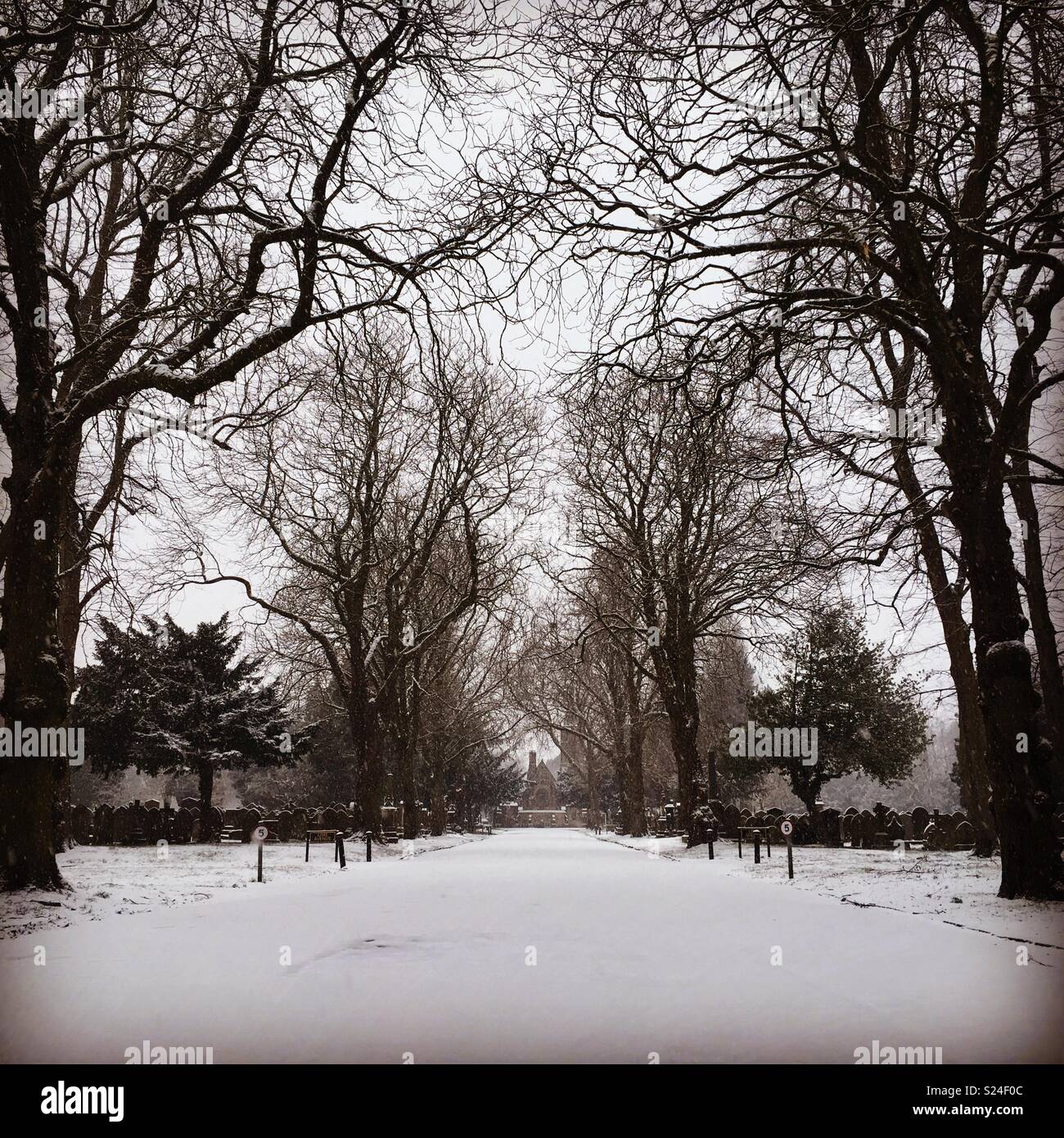 Snowy Cemetery High Resolution Stock Photography and Images - Alamy