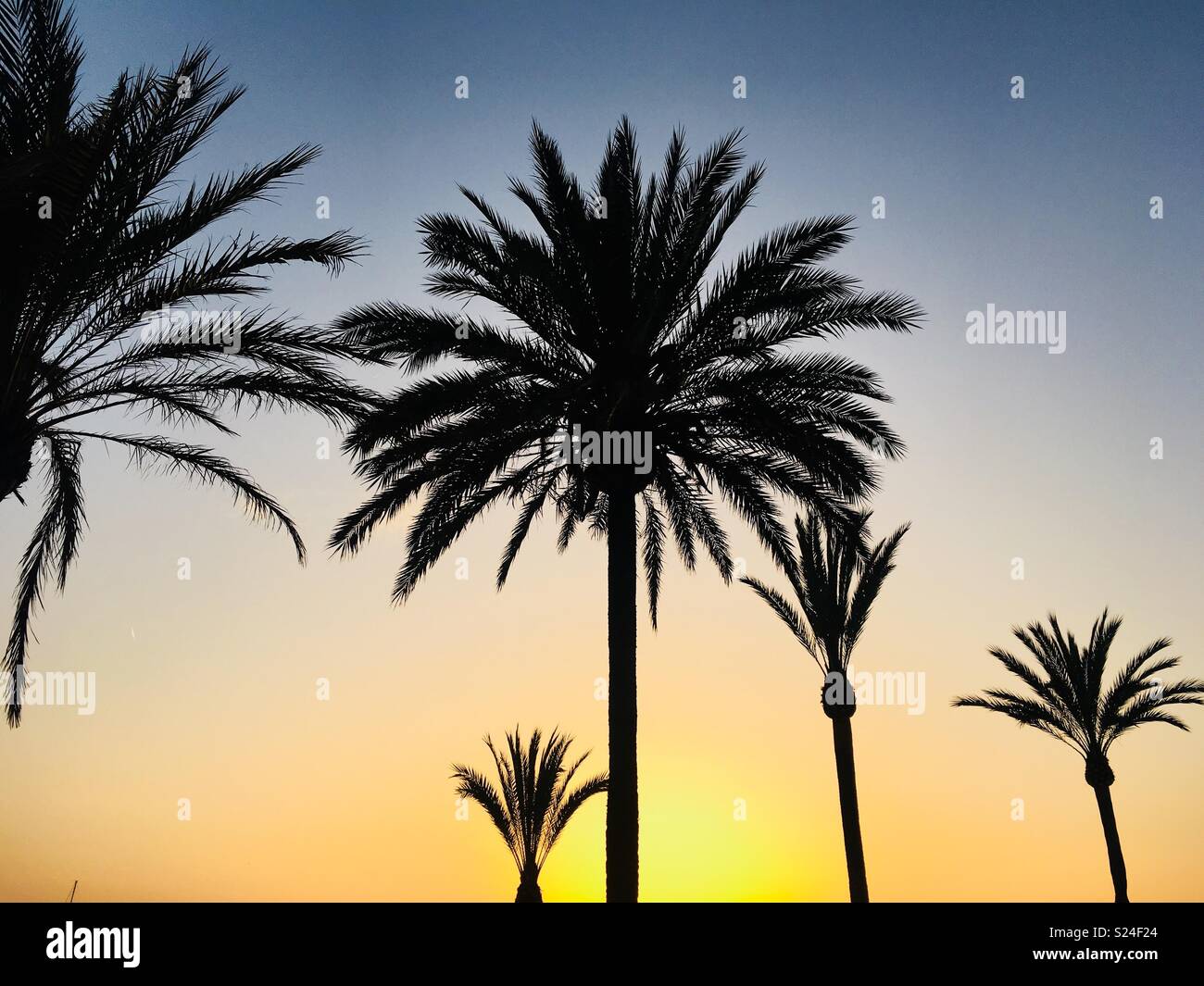 Dusk in palma hi-res stock photography and images - Alamy
