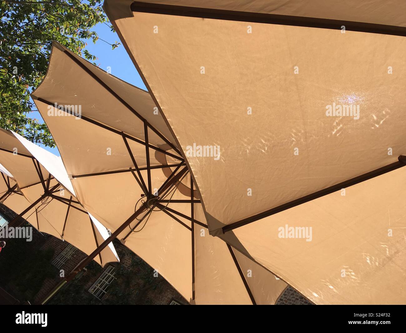 Summer shade hi-res stock photography and images - Alamy