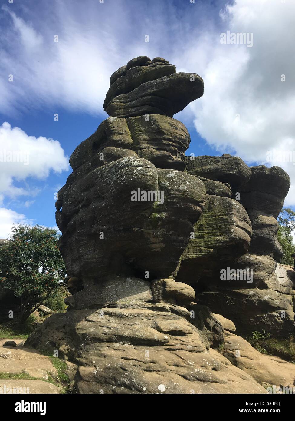 Bird shaped rock Stock Photo - Alamy