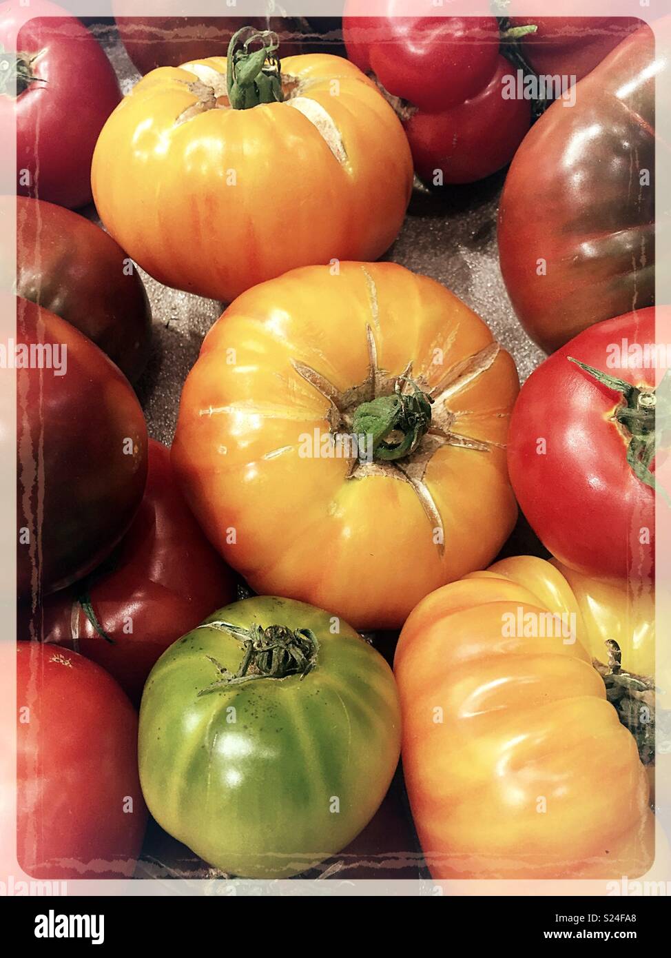 Fresh heirloom tomatoes are for sale at a farmers market, United States ...
