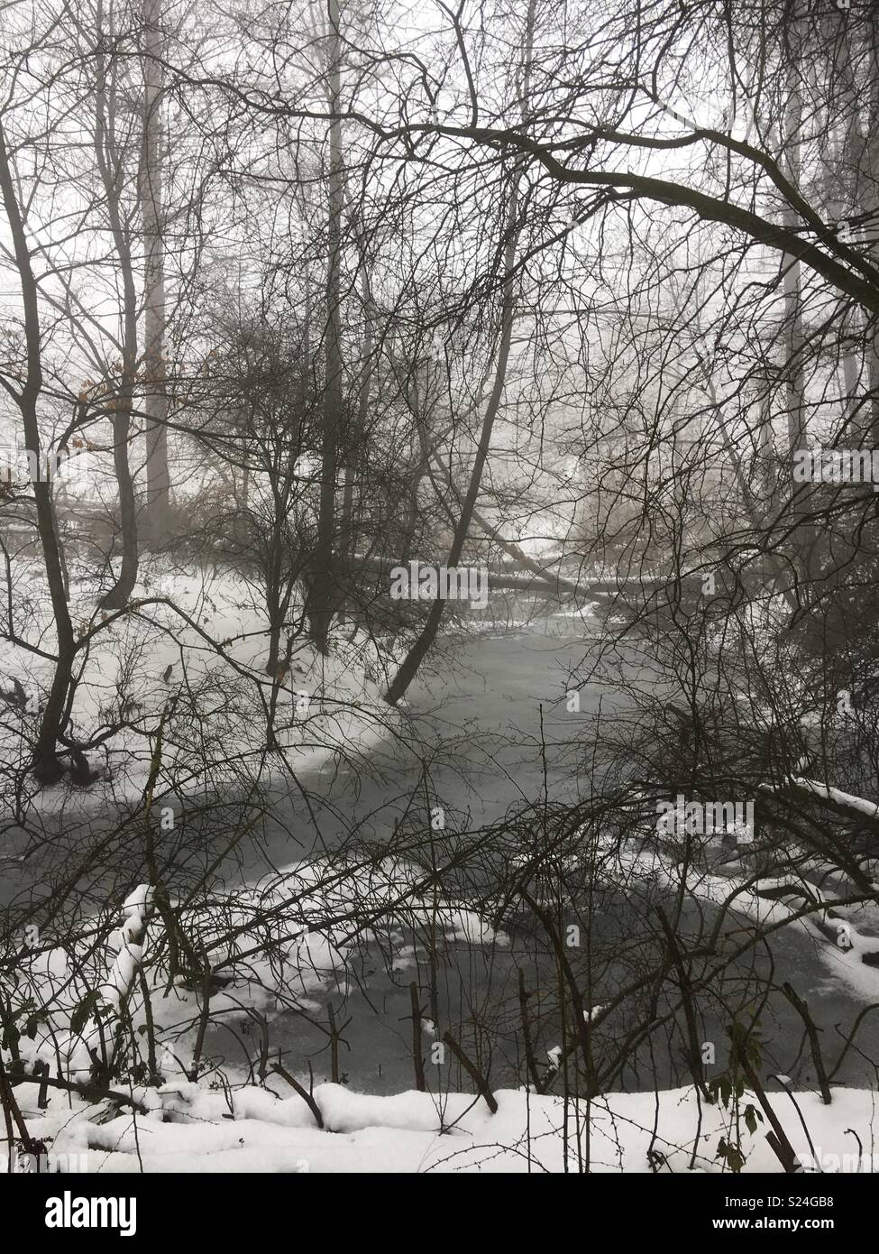 Frozen woodland pond hi-res stock photography and images - Alamy