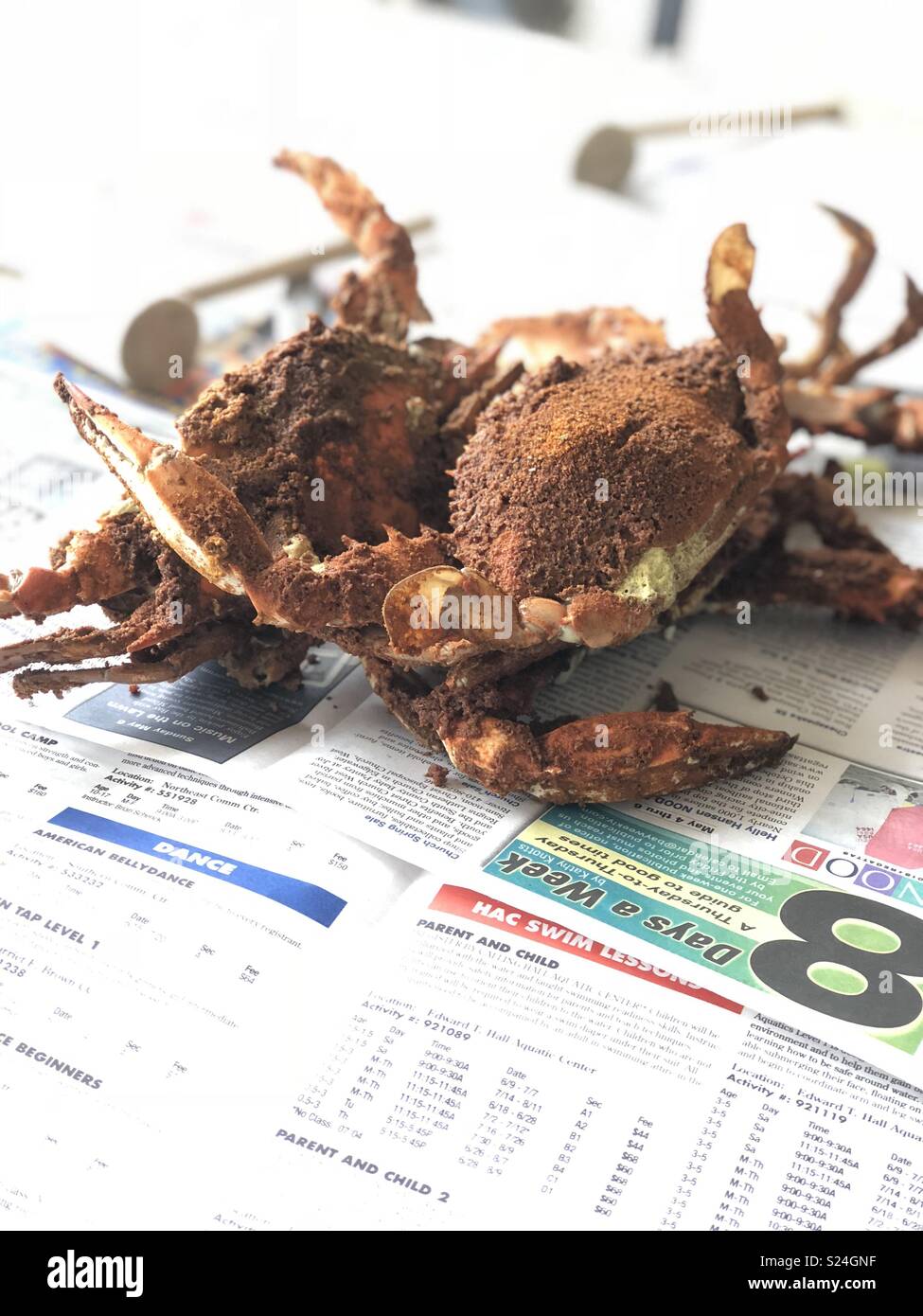 Maryland Crabs High Resolution Stock Photography and Images - Alamy