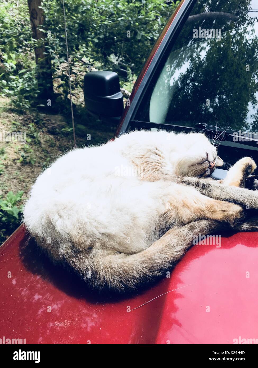 Nap into the car hi-res stock photography and images - Alamy