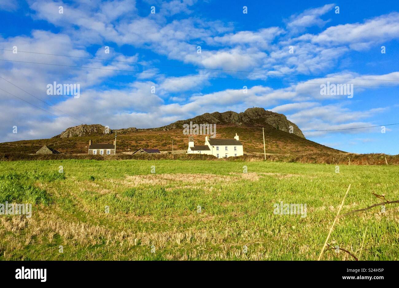 St davids head hi-res stock photography and images - Alamy