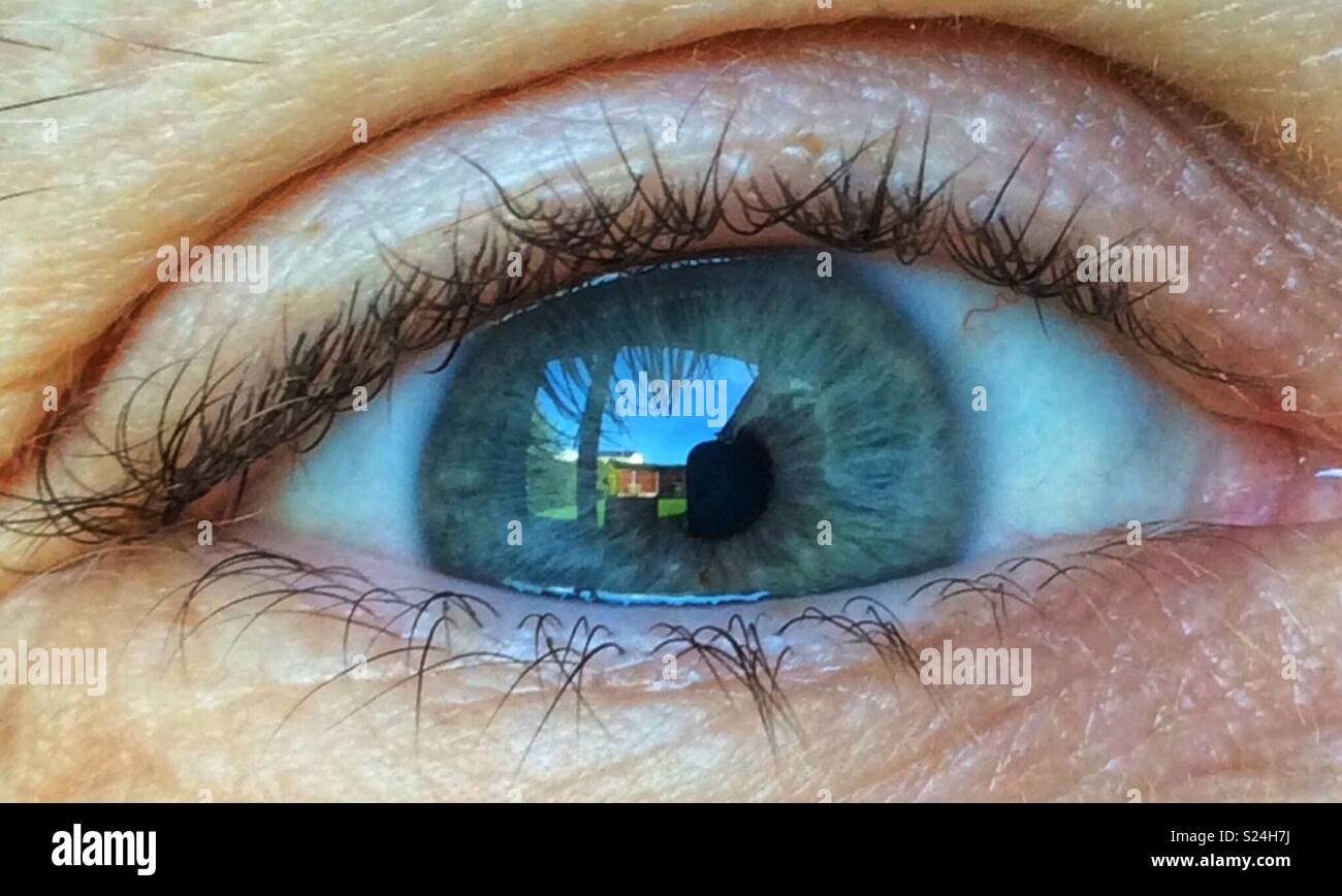 Eye Reflection Photography