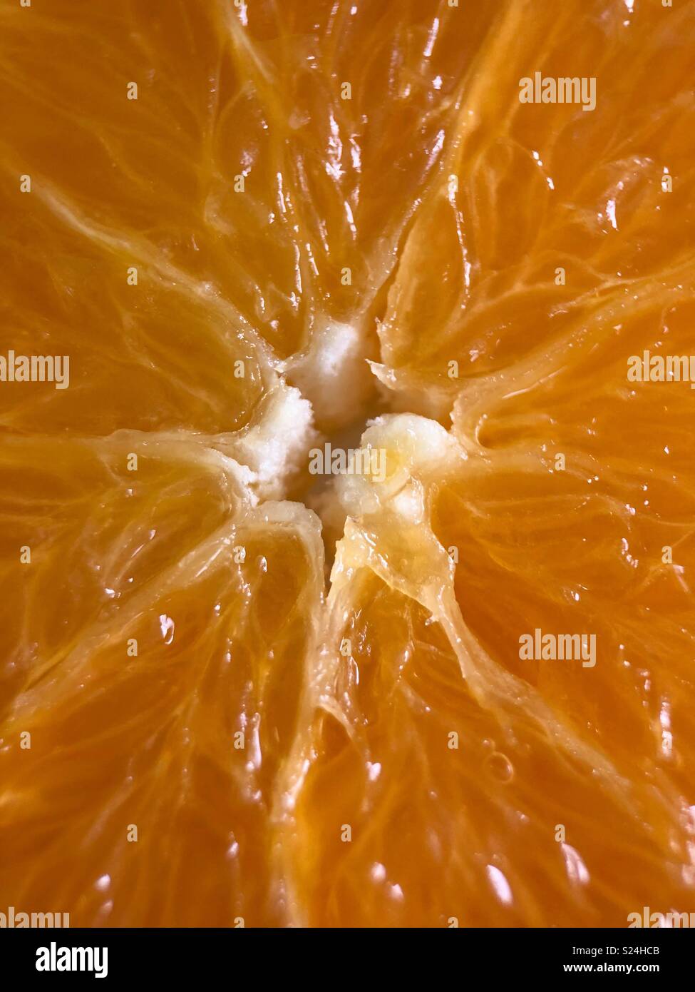 Up close of orange slice Stock Photo - Alamy