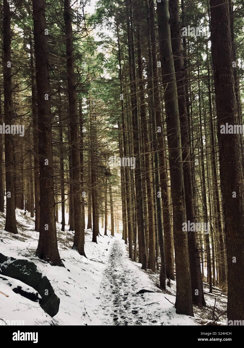 Narnia snow hi-res stock photography and images - Alamy