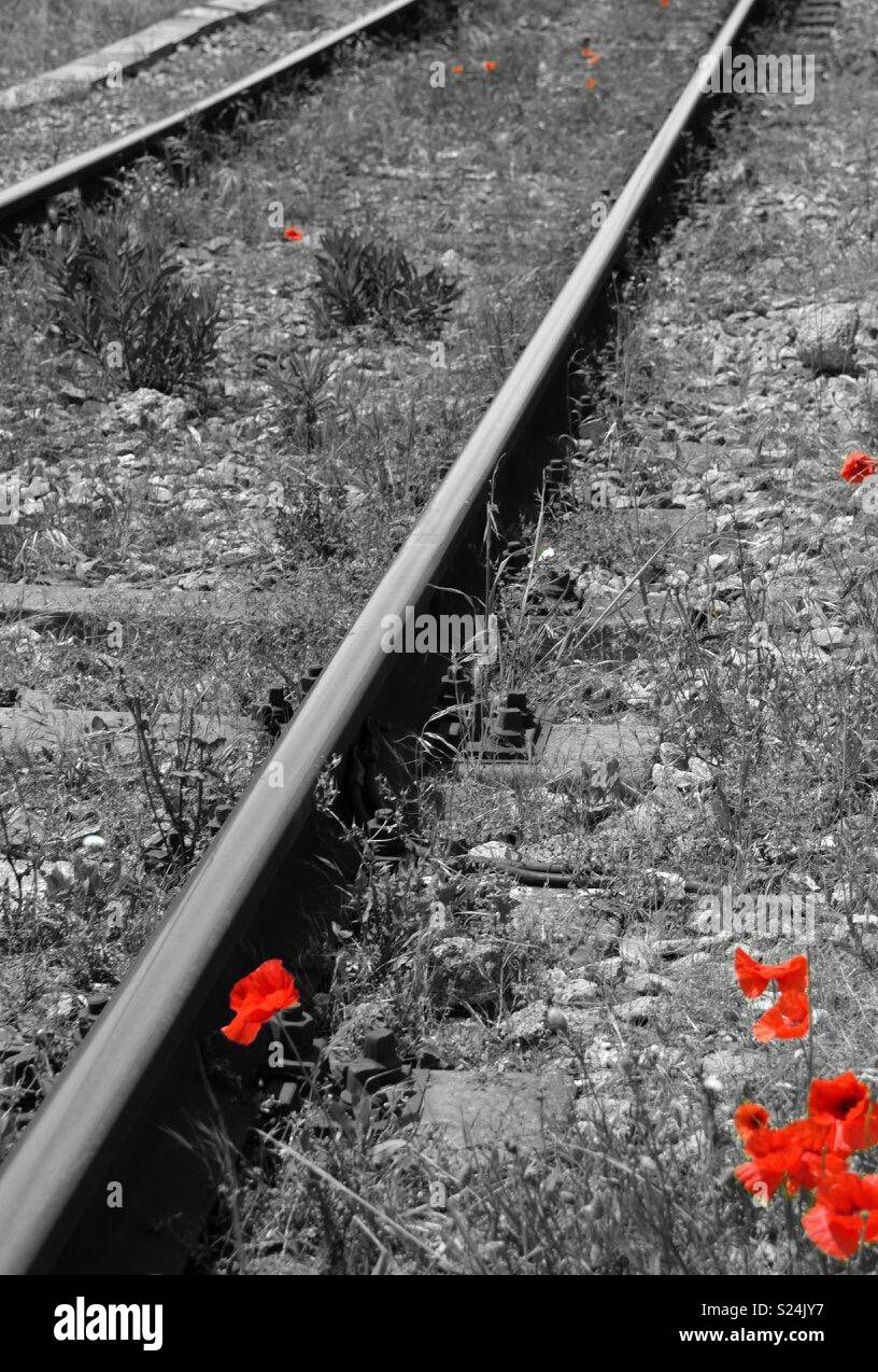 Train track red Stock Photo - Alamy