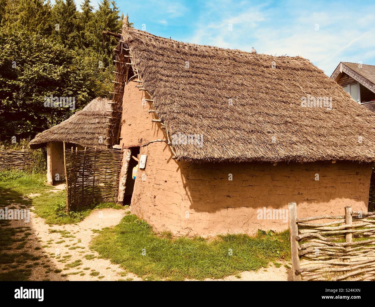 Mud building at Butser ancient farm, South Downs National Park ...