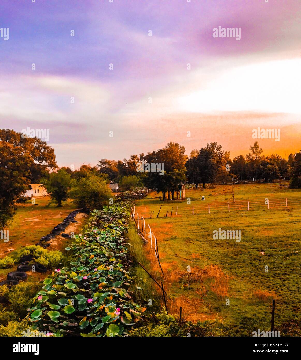 Buriram thailand hi-res stock photography and images - Alamy