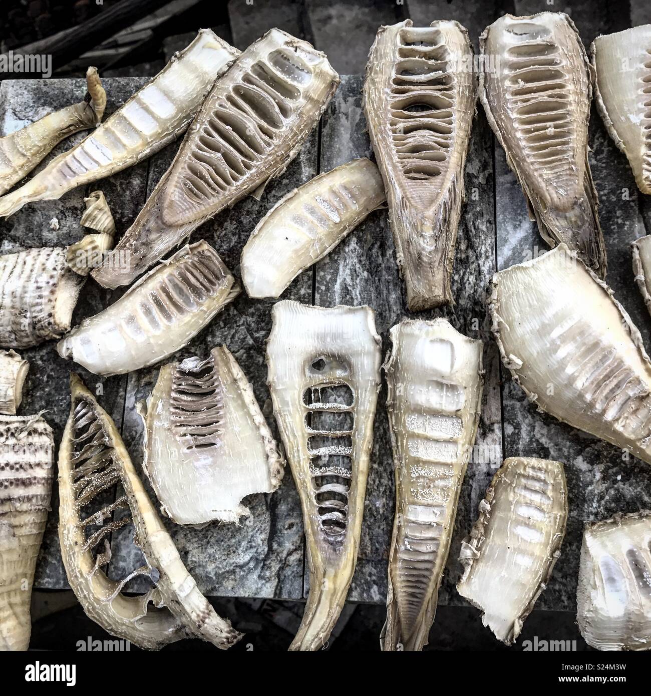 Bamboo food hi-res stock photography and images - Alamy