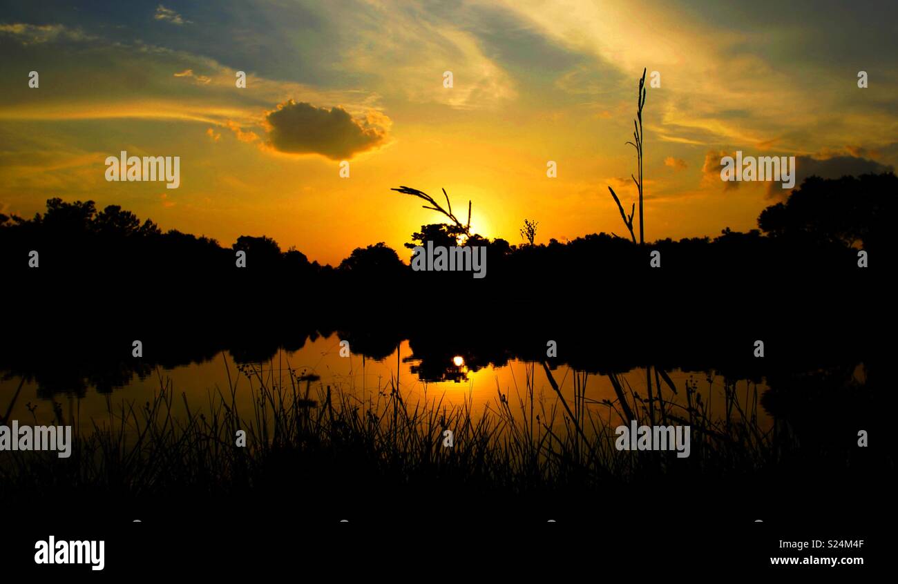 Mississippi hi-res stock photography and images - Alamy