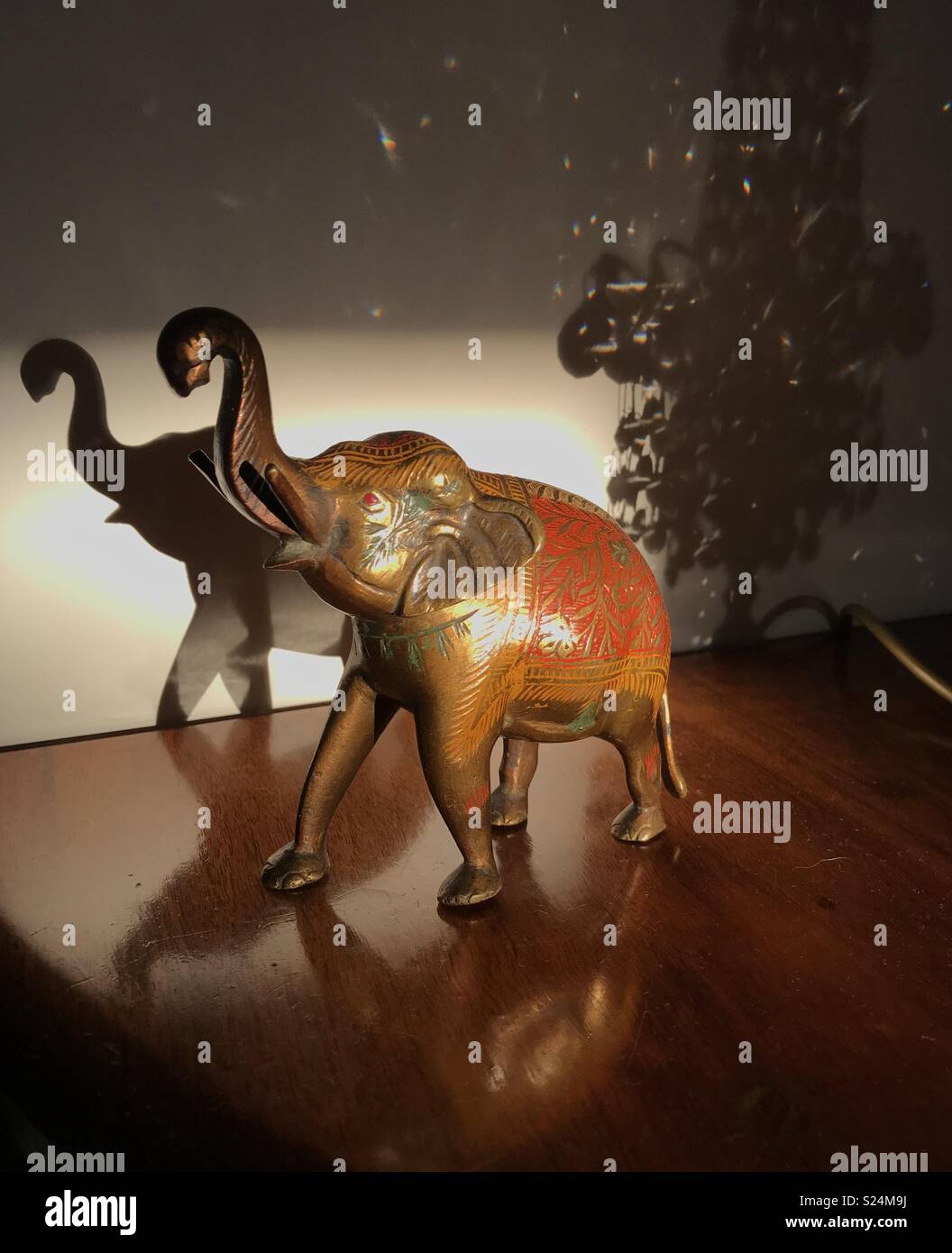 Sunshine elephant hi-res stock photography and images - Alamy