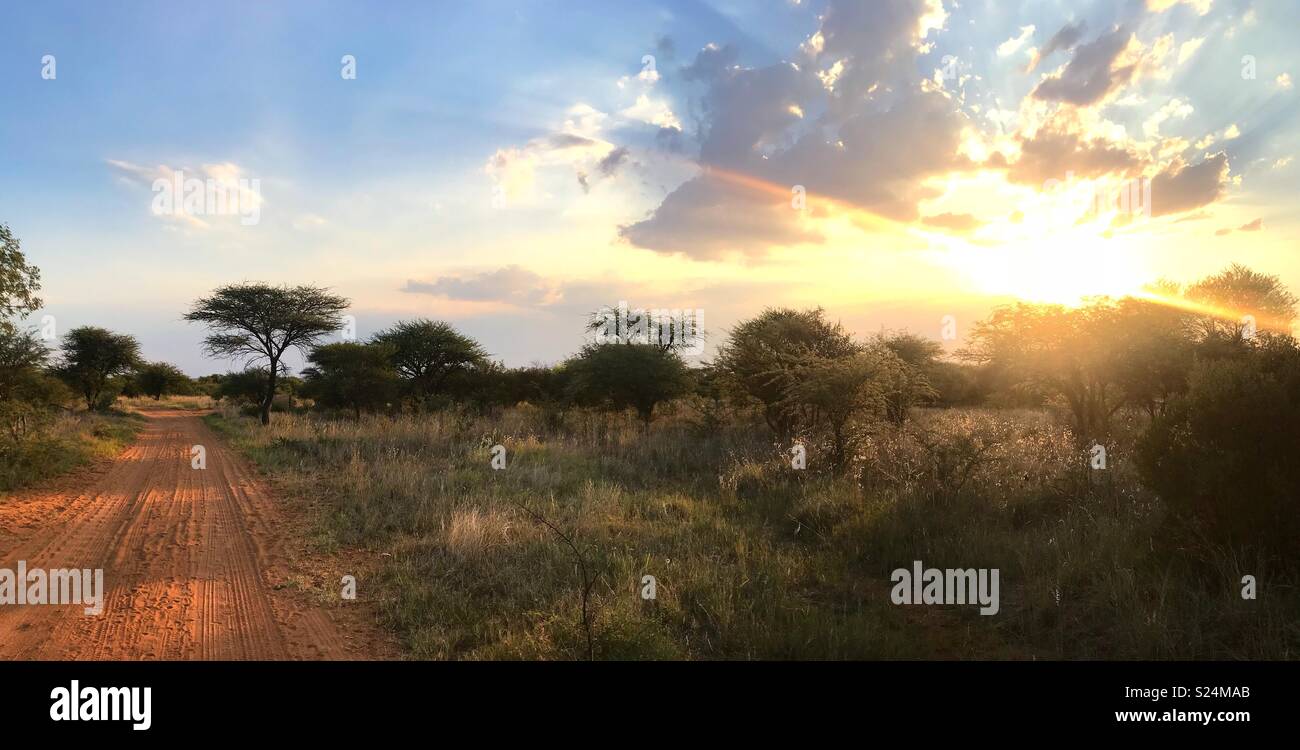 Johannesburg landscape hi-res stock photography and images - Alamy