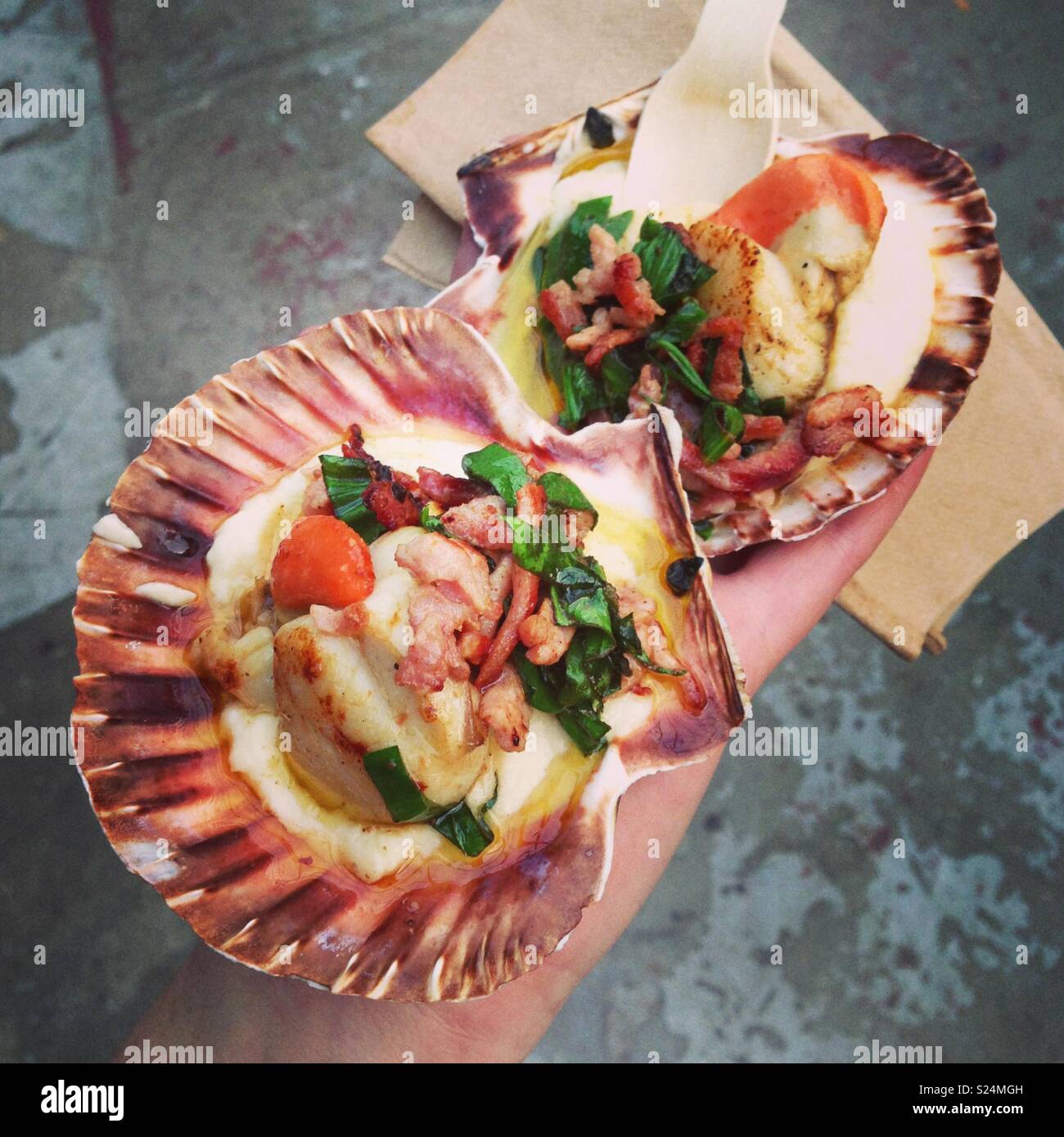 Scallops in shell at street food stand Stock Photo - Alamy