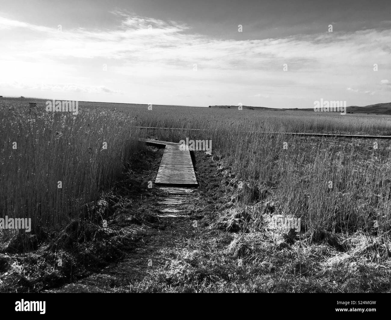 Board walks in Dumfries and Galloway Stock Photo - Alamy