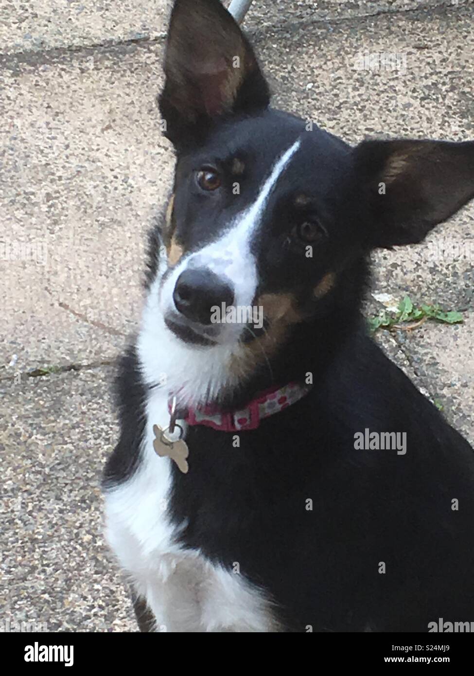 Please play hi-res stock photography and images - Alamy