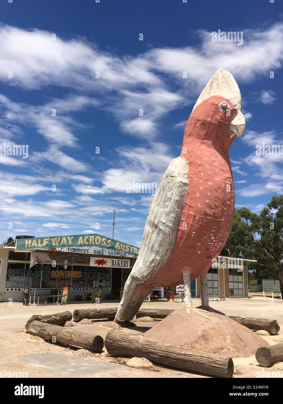 Giant parrot hi-res stock photography and images - Alamy