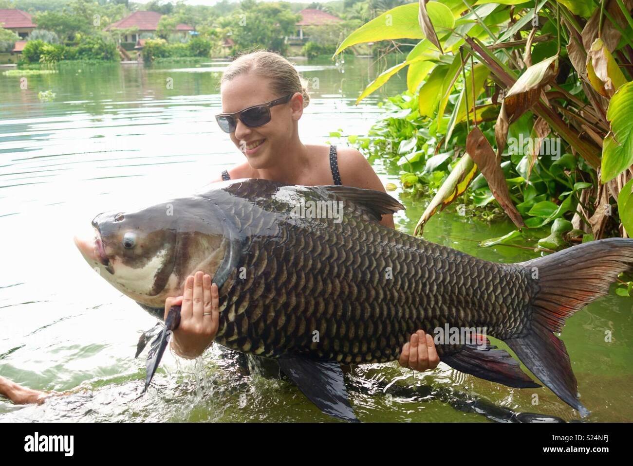 Gillhams hi-res stock photography and images - Alamy