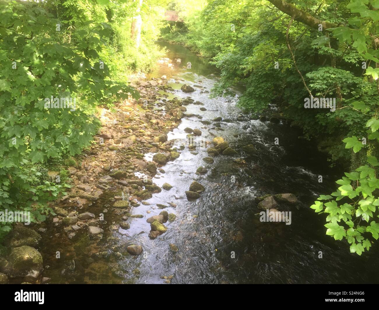 The River Erme, Ivybridge Stock Photo - Alamy