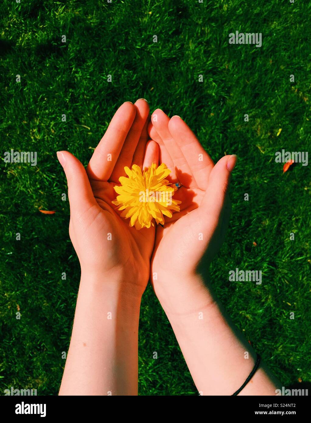 World in your hands hi-res stock photography and images - Alamy