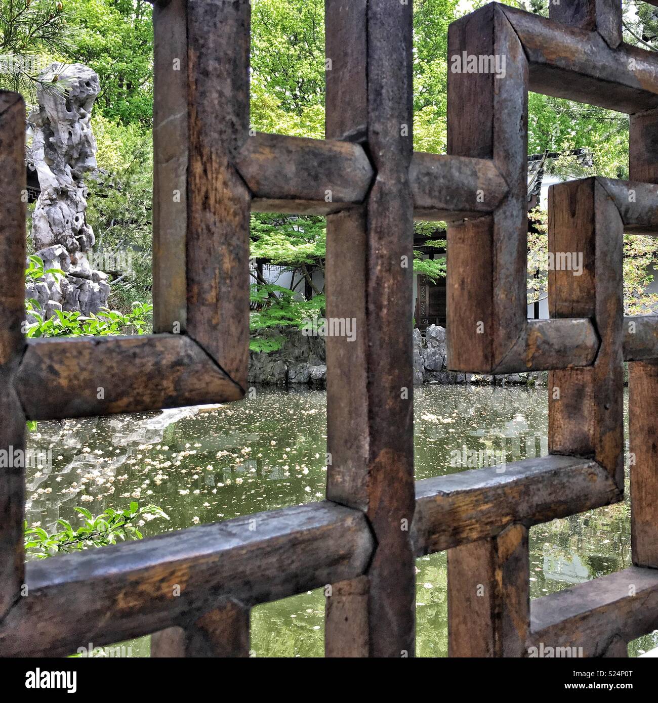 Chinese garden through wooden fence Stock Photo - Alamy
