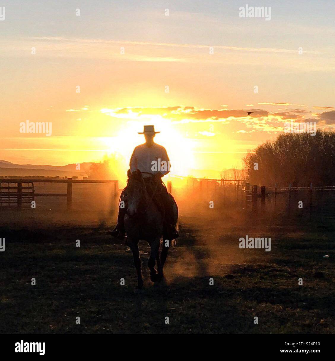 Cowboy riding into sunset hi-res stock photography and images - Alamy