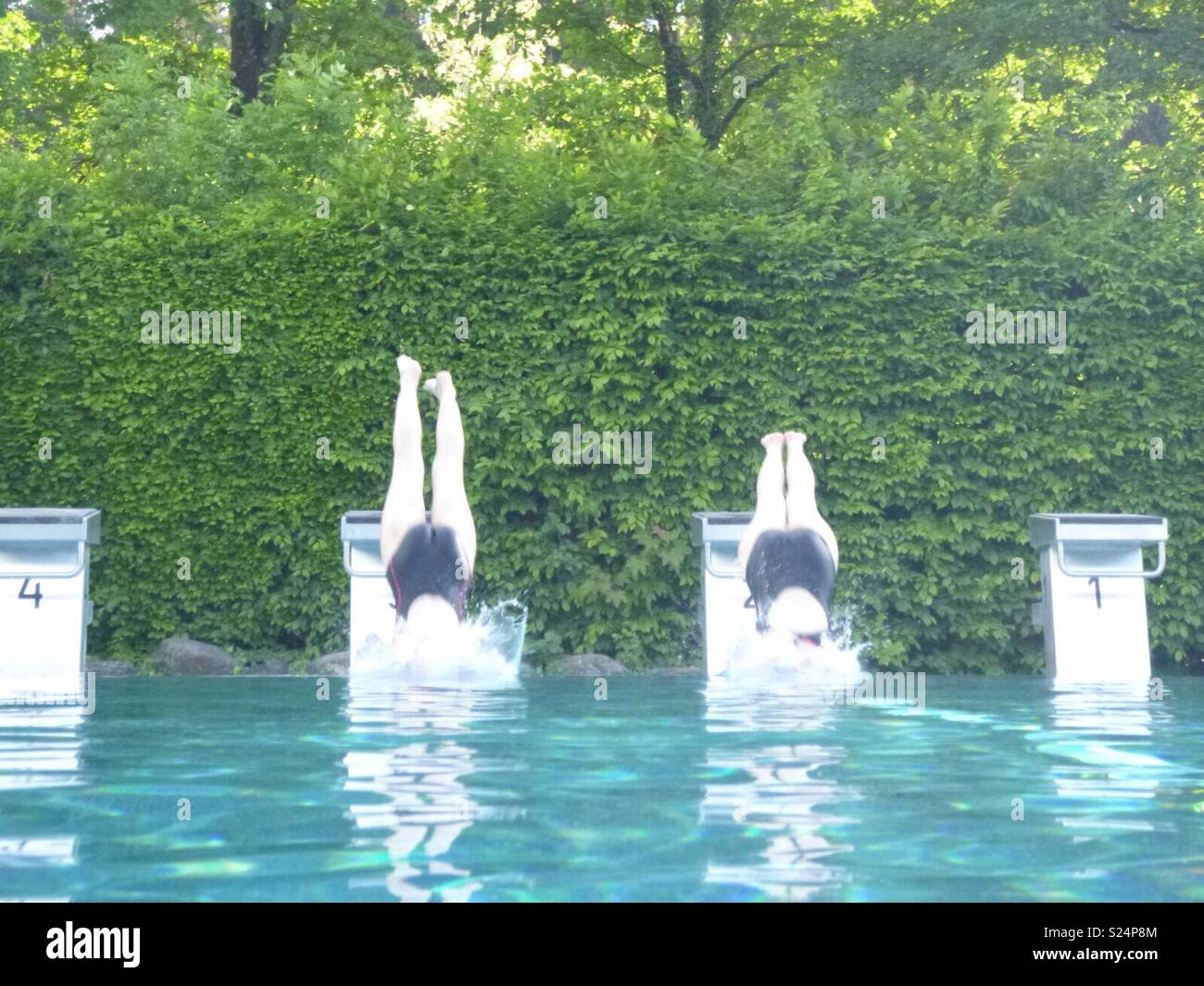 Swimming in the sun Stock Photo - Alamy