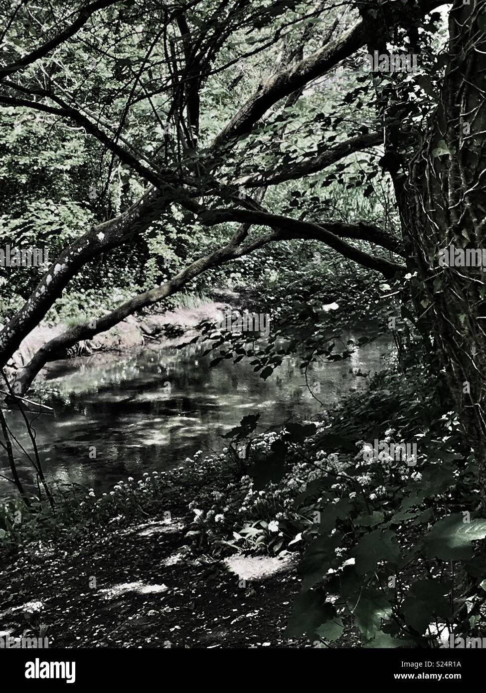Black and white river scene Stock Photo - Alamy