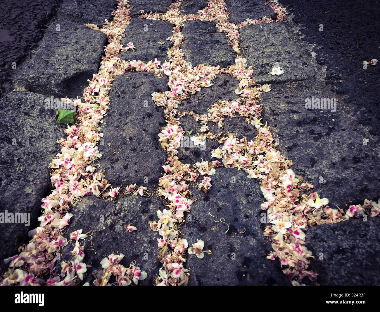 When path and purpose come together Stock Photo - Alamy