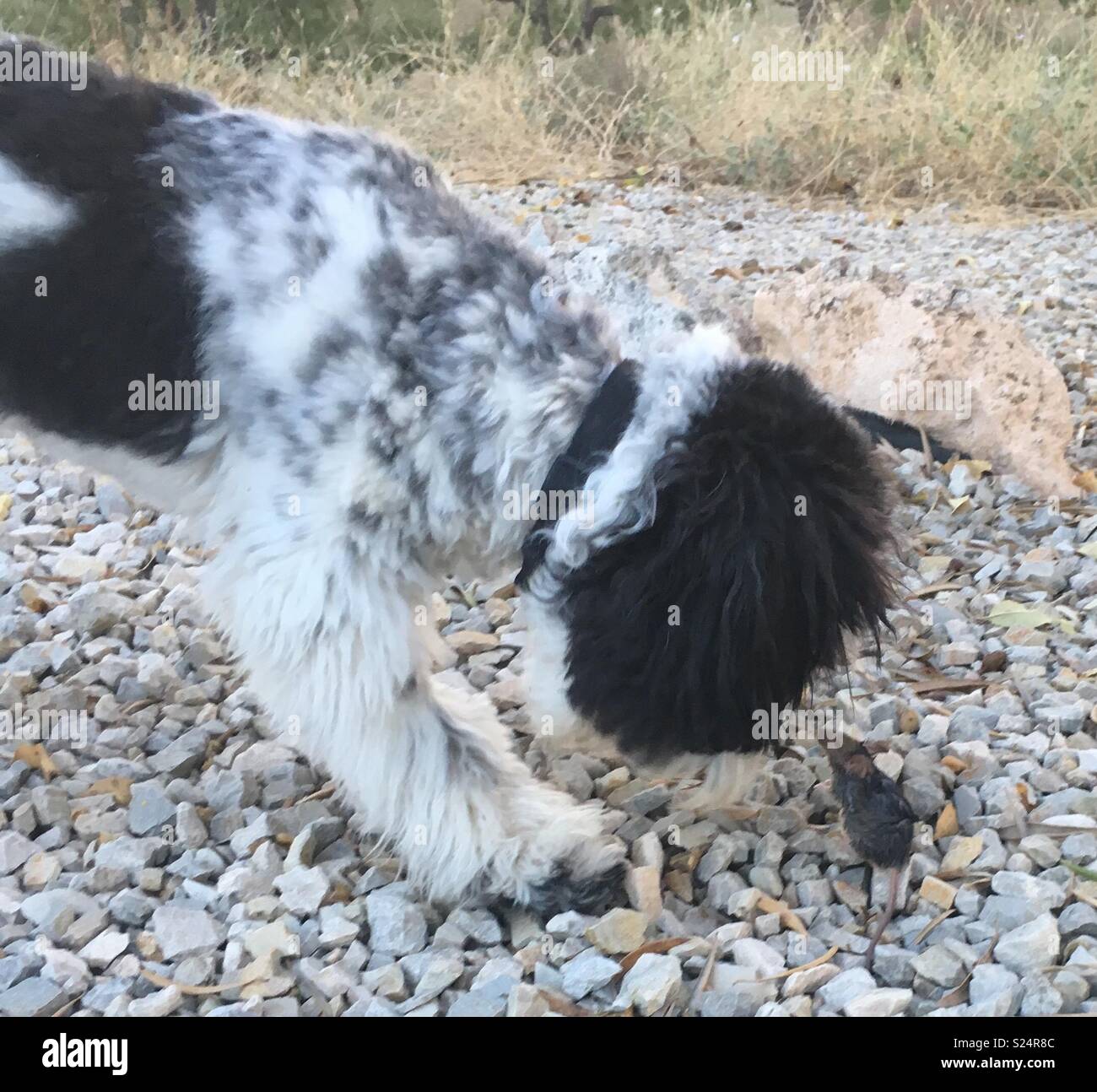 Meets friends hi-res stock photography and images - Alamy