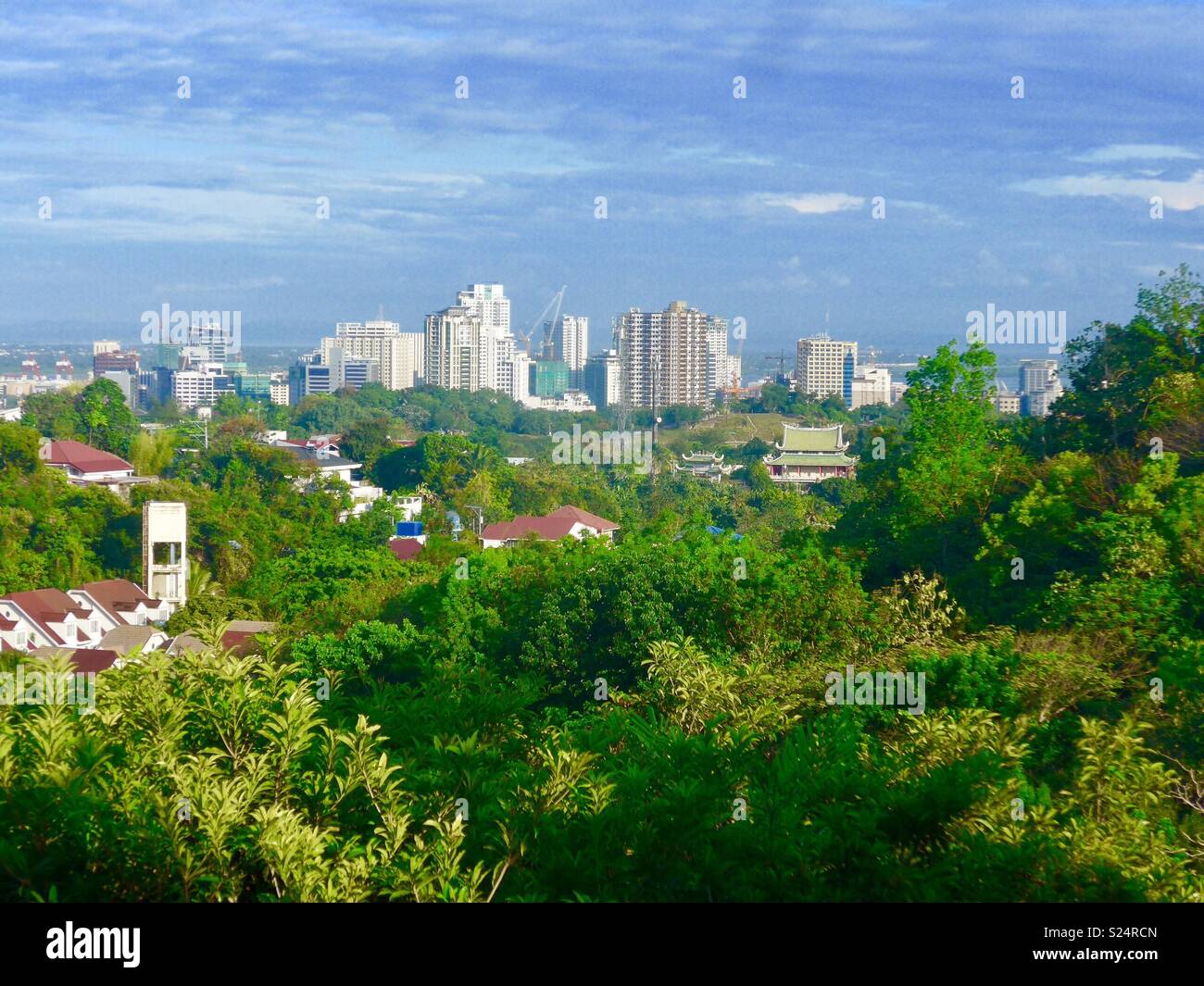 Trees plus hi-res stock photography and images - Alamy