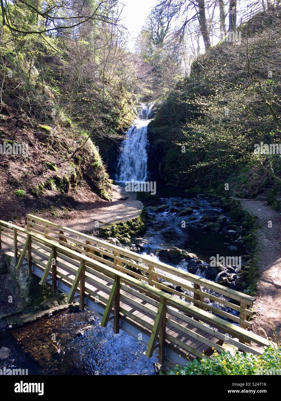 Wooden bridge at waterfall Stock Photo - Alamy