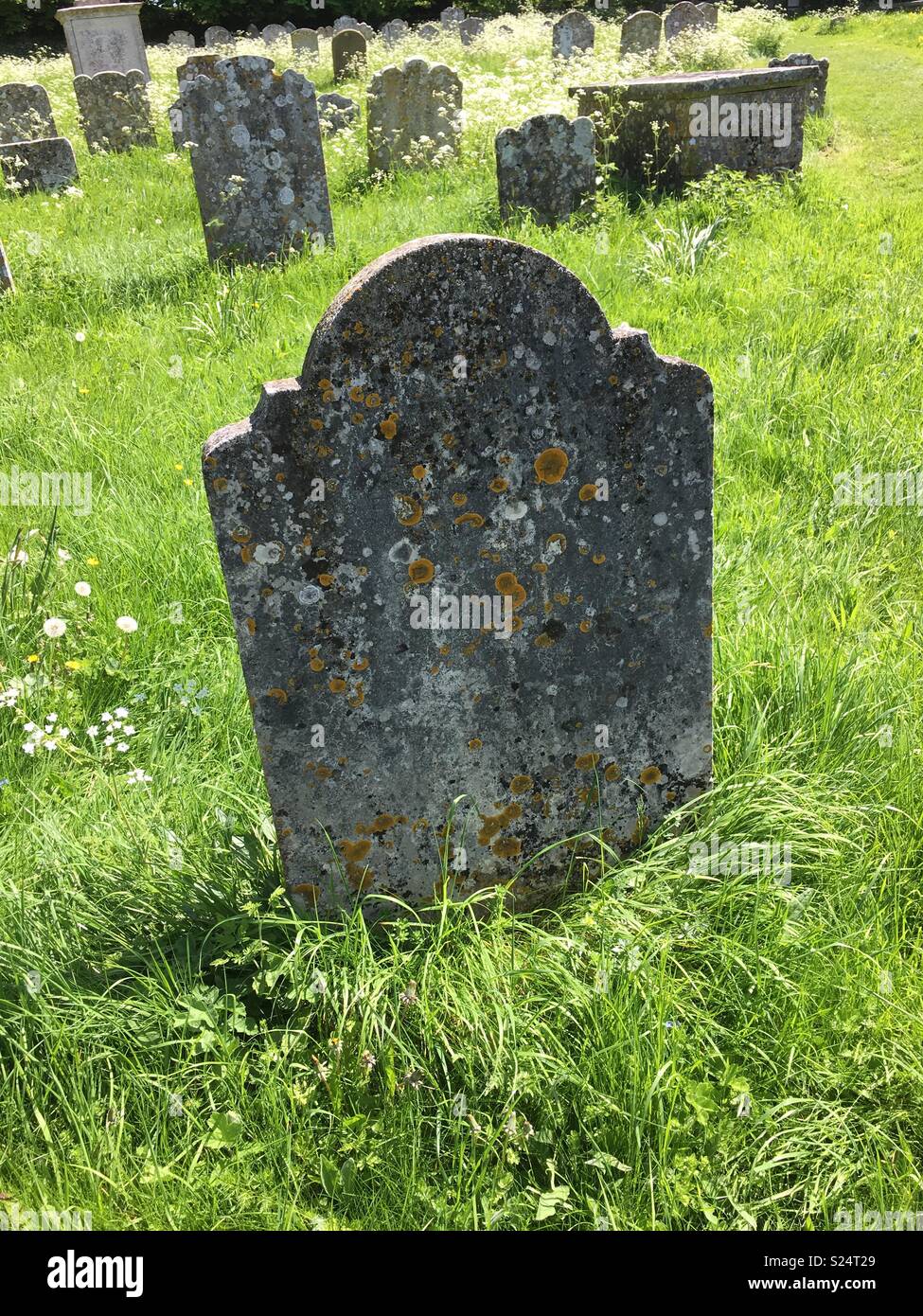 Chalton hampshire hi-res stock photography and images - Alamy