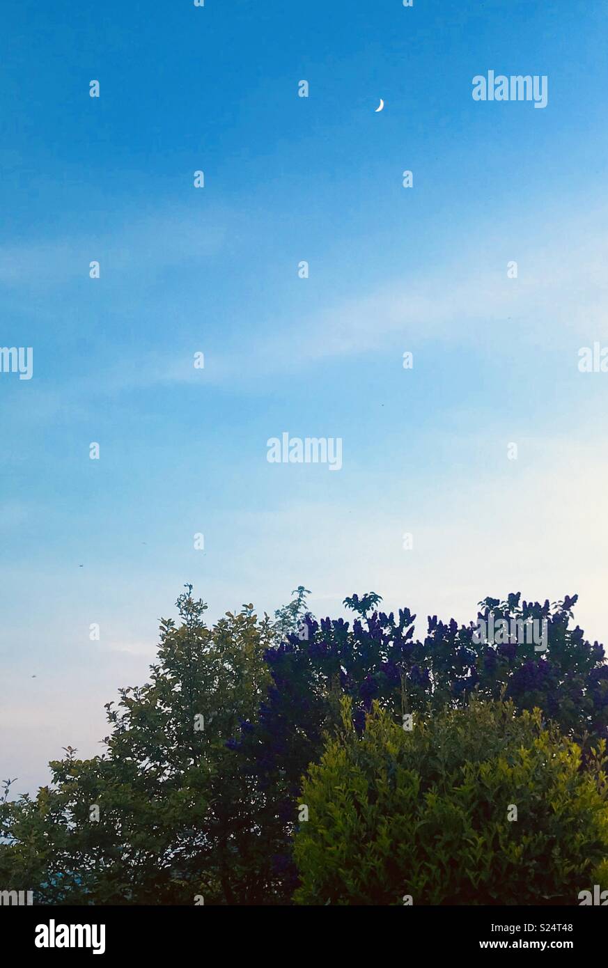 Moon sliver hi-res stock photography and images - Alamy