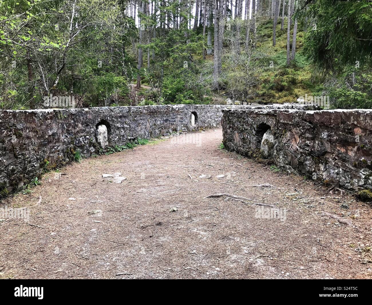 Winding path through the forest and over a stone bridge. Falls of Burar ...